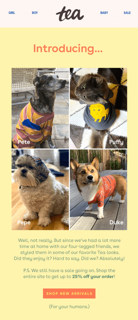 9 Inspiring Spring Newsletter Ideas & Campaign Examples | Sender