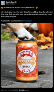 30+ Fall Marketing Ideas to Promote Your Business | Sender