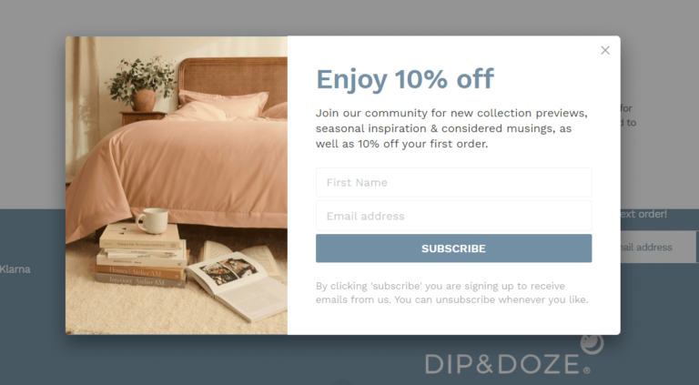 40+ Newsletter Popup Design Examples That Inspire | Sender
