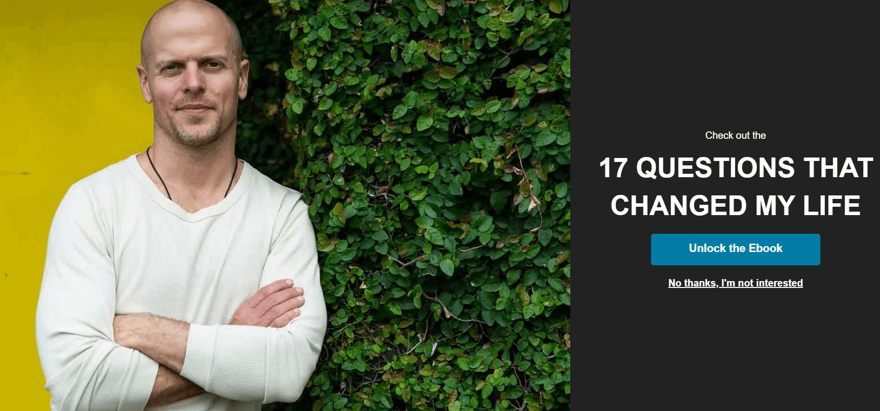 40+ Newsletter Popup Design Examples That Inspire | Sender