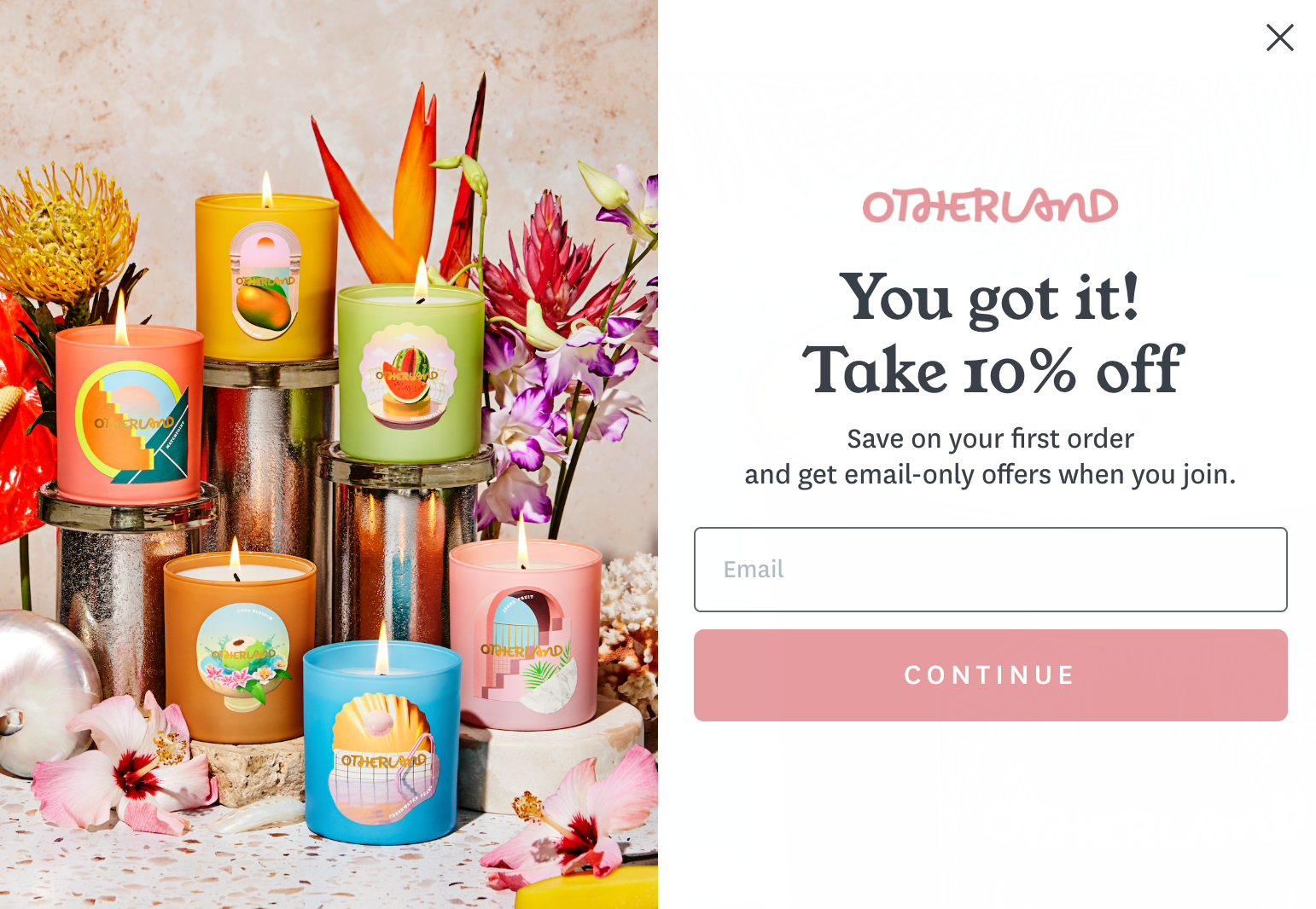 What is Email Subscription: Definition & All-Inclusive Tutorial | Sender