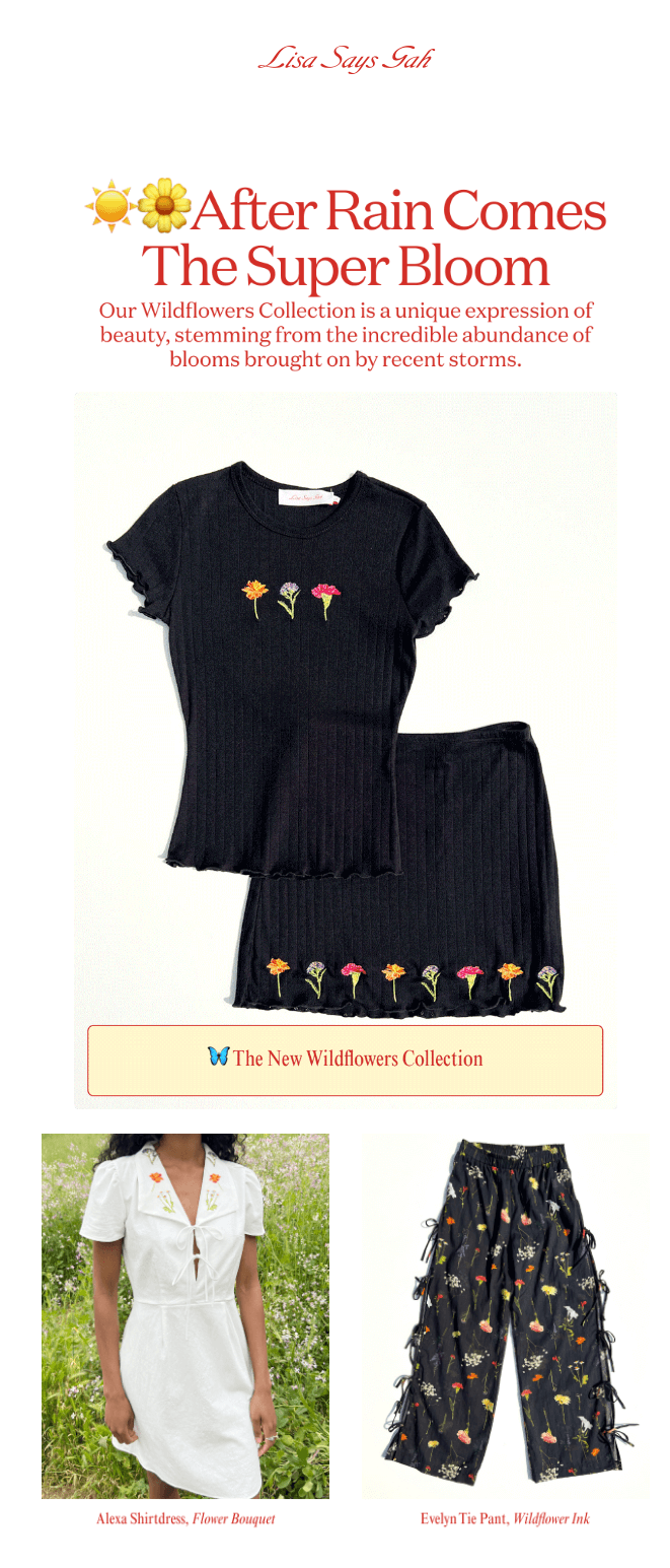 8 New Arrivals Email Examples and Templates