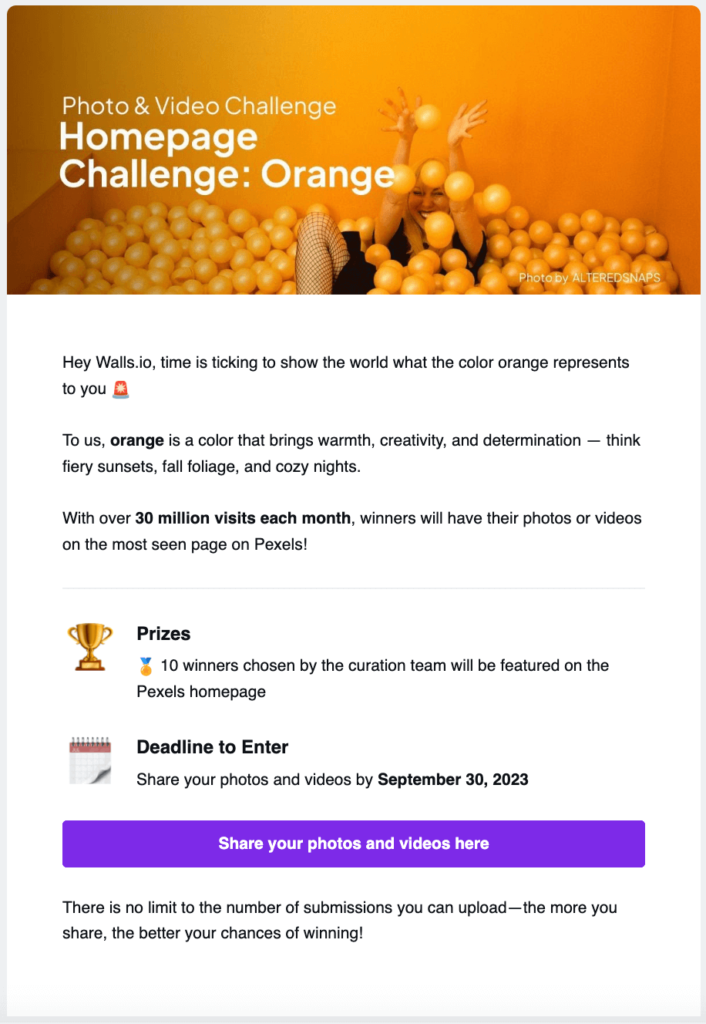 12 Fun Newsletter Ideas Using UGC and Social Proof | Sender