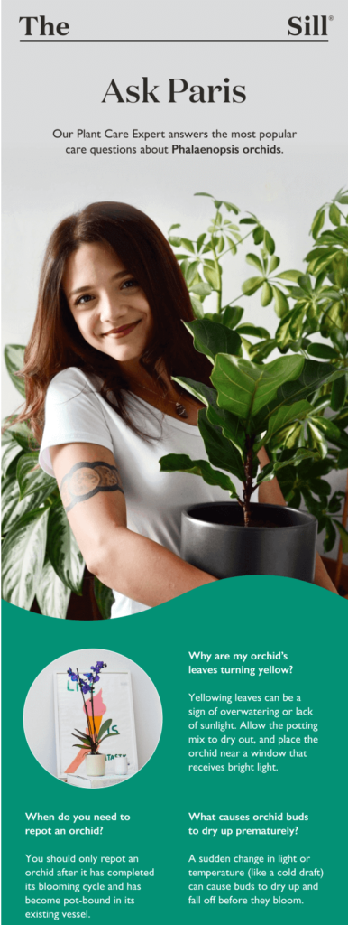 10 January Newsletter Ideas That Work | Sender